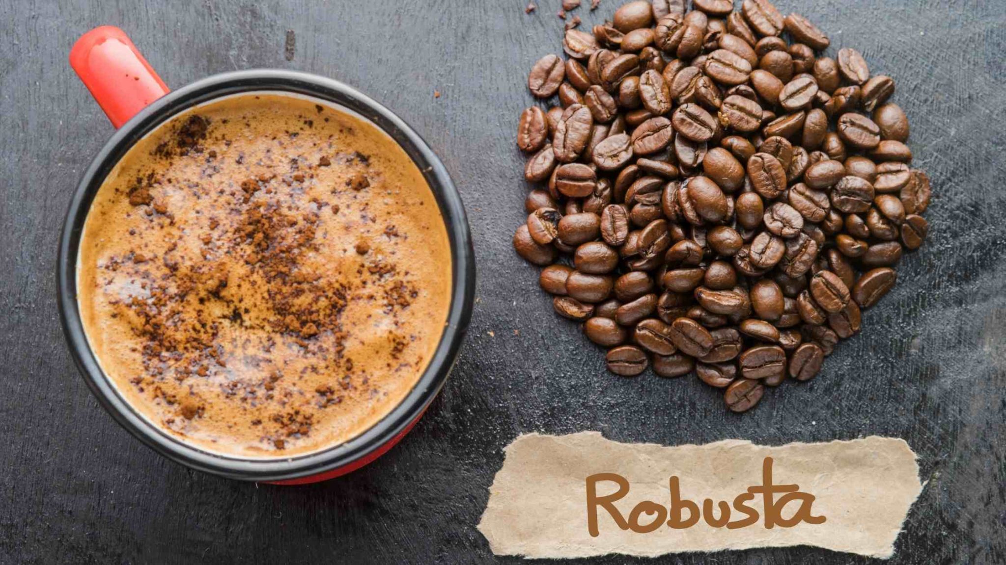 How To Brew The Best Robusta Coffee - Jolly Roast